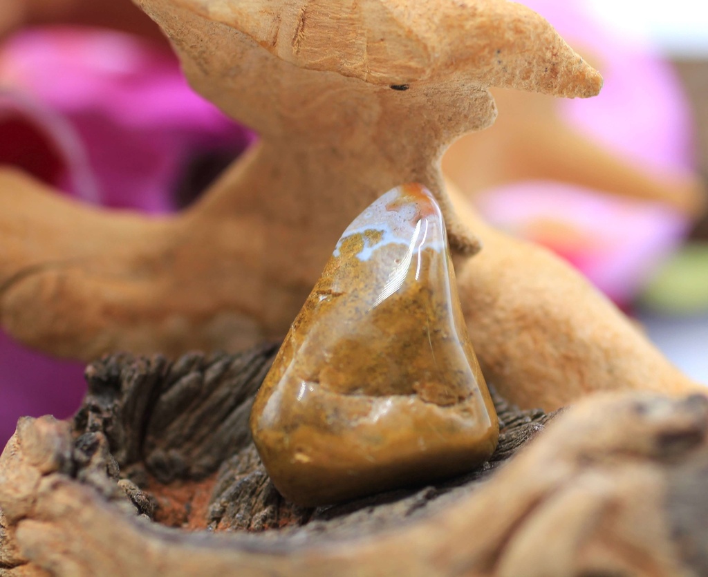 Jaspe océan roulé | L'Arbre du Bonheur